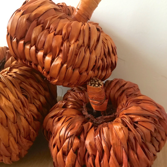 Anthropologie | Other | Anthropologie Rattan Wicker Pumpkins Fall Home ...